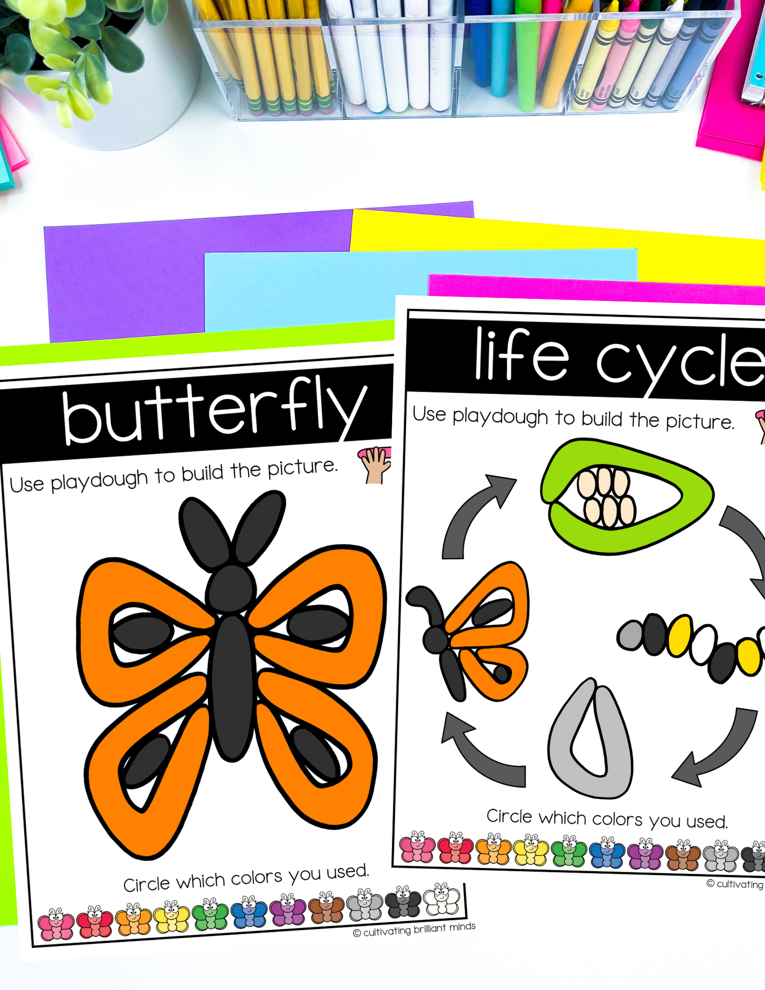 Teach the Butterfly Life Cycle with this Freebie! - Cultivating ...