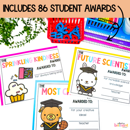 Editable End of the Year Student Awards | Award Certificates ...