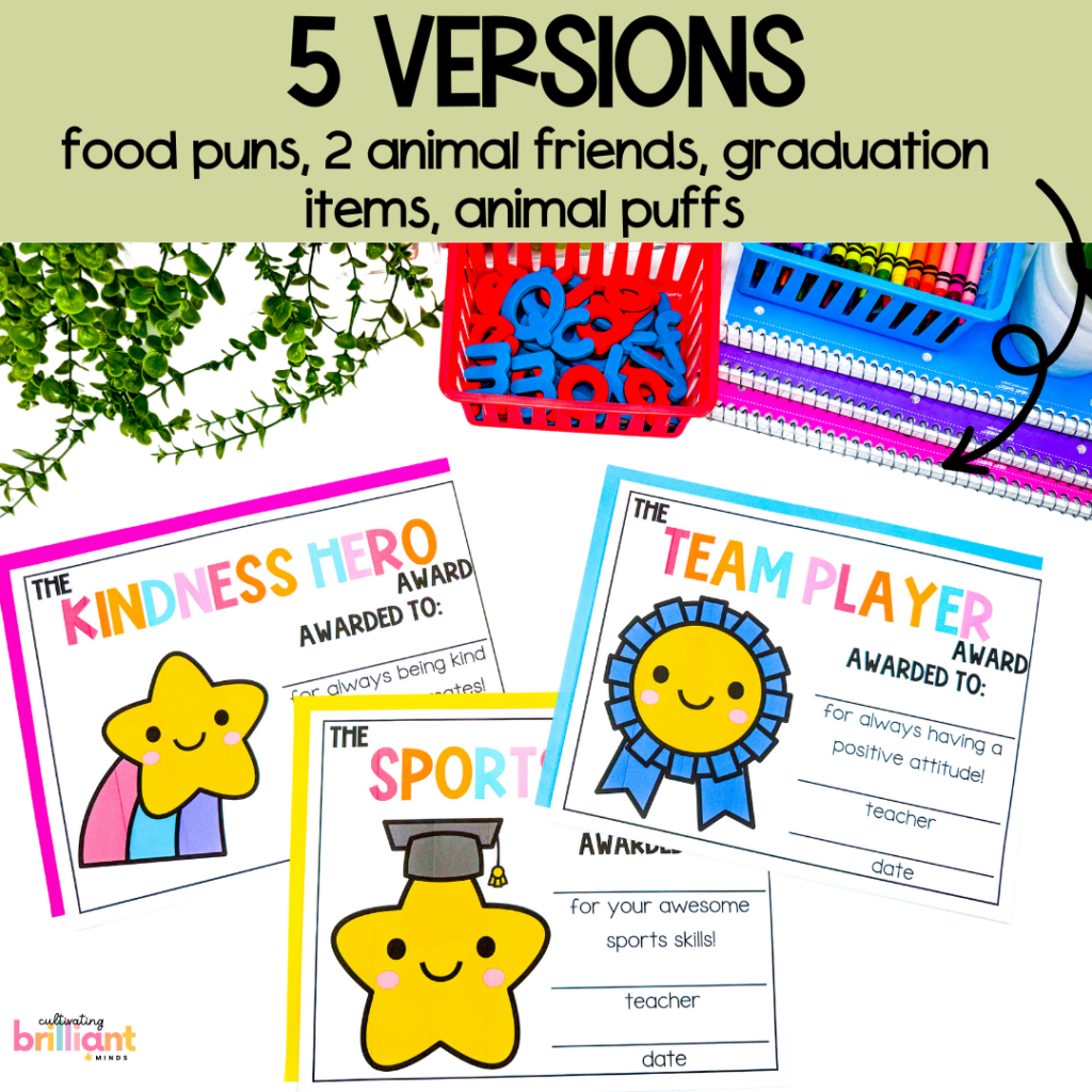 Editable End of the Year Student Awards | Award Certificates ...
