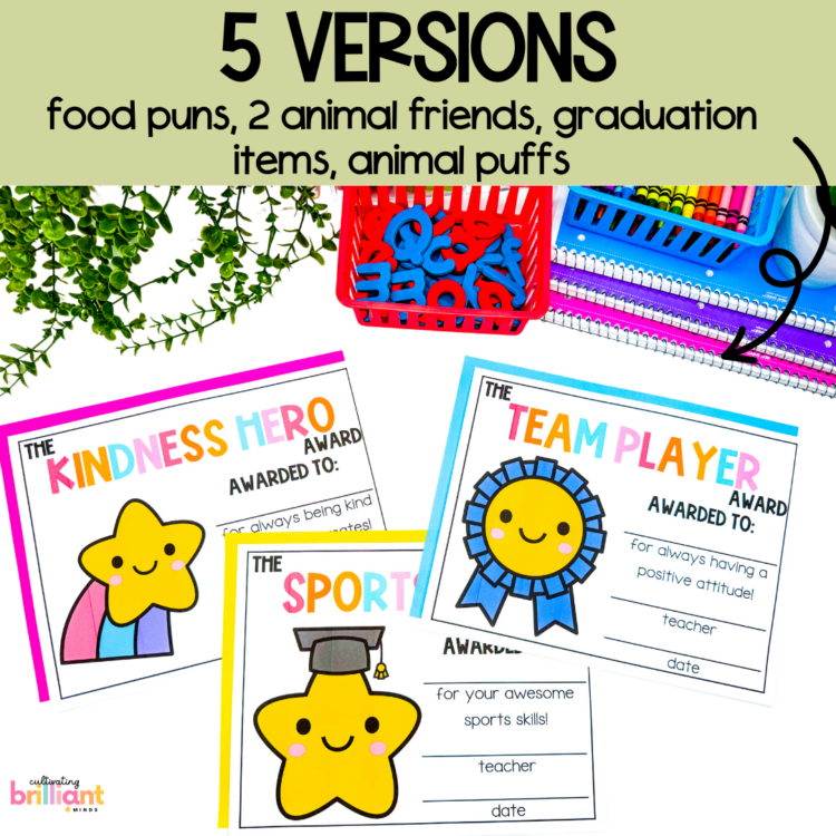 Editable End of the Year Student Awards | Award Certificates ...