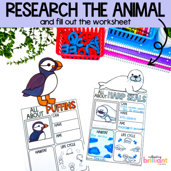 Arctic and Antarctic Animal Research Report Project Template Writing ...