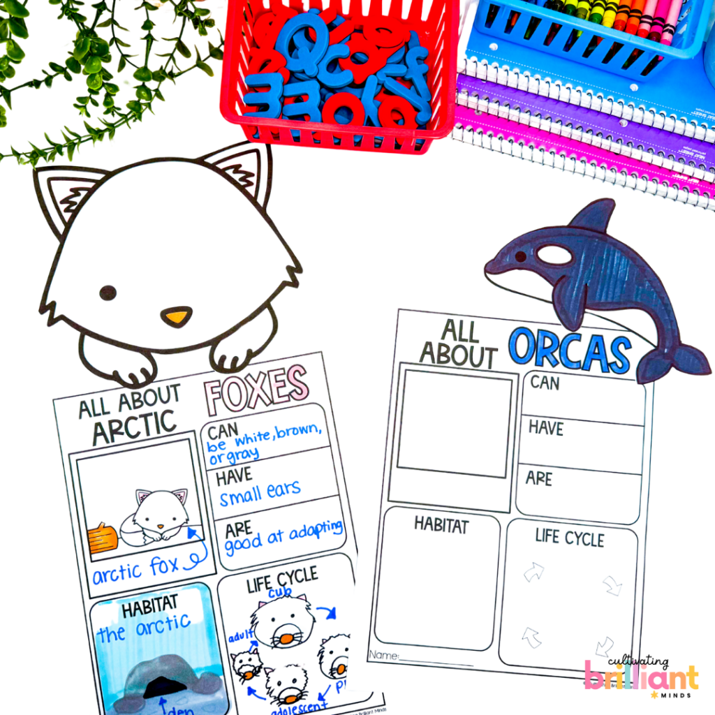 Arctic and Antarctic Animal Research Report Project Template Writing ...
