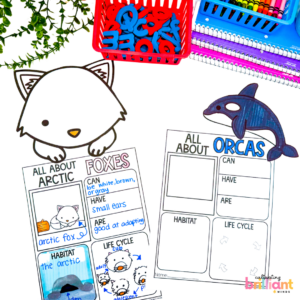 Arctic and Antarctic Animal Research Report Project Template Writing ...