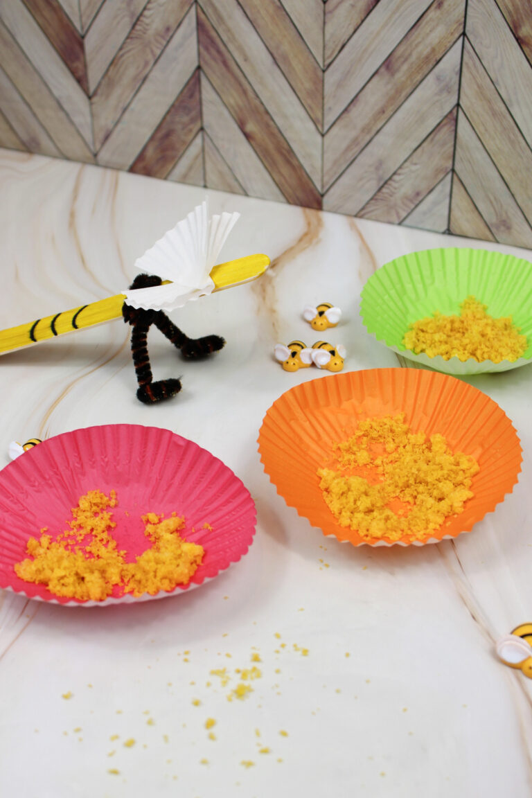 Bee Pollination Experiment: A Fun and Educational Craft for Kids ...