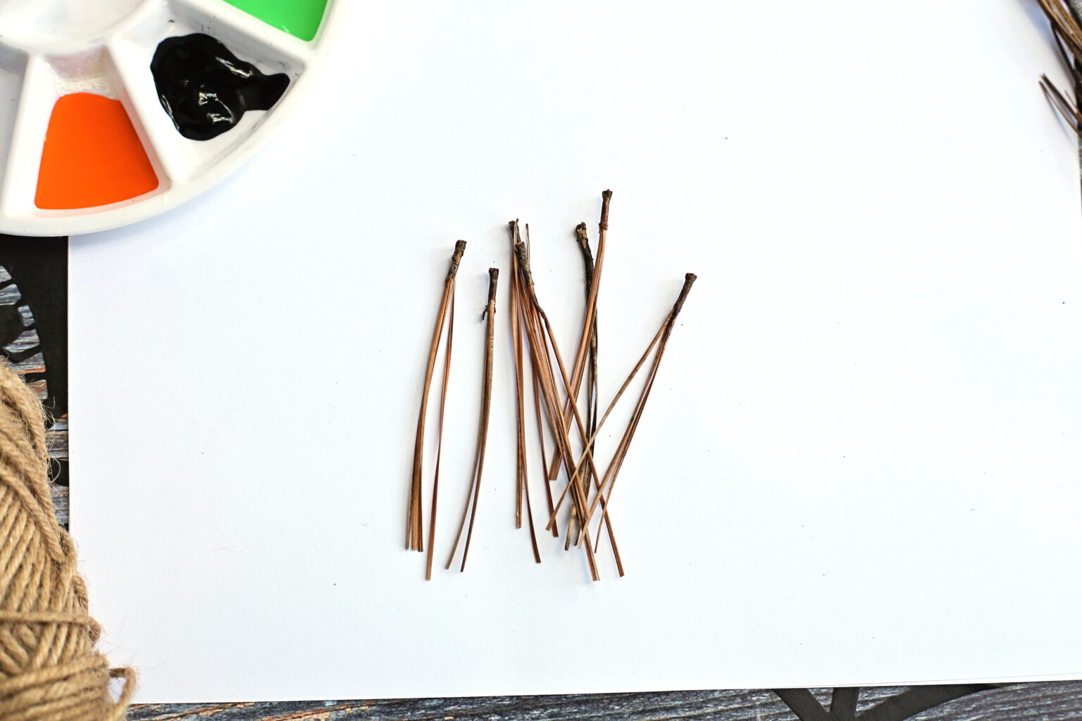 Witch’s Broomstick Paintbrush: A Spooky Sensory Art Activity and ...
