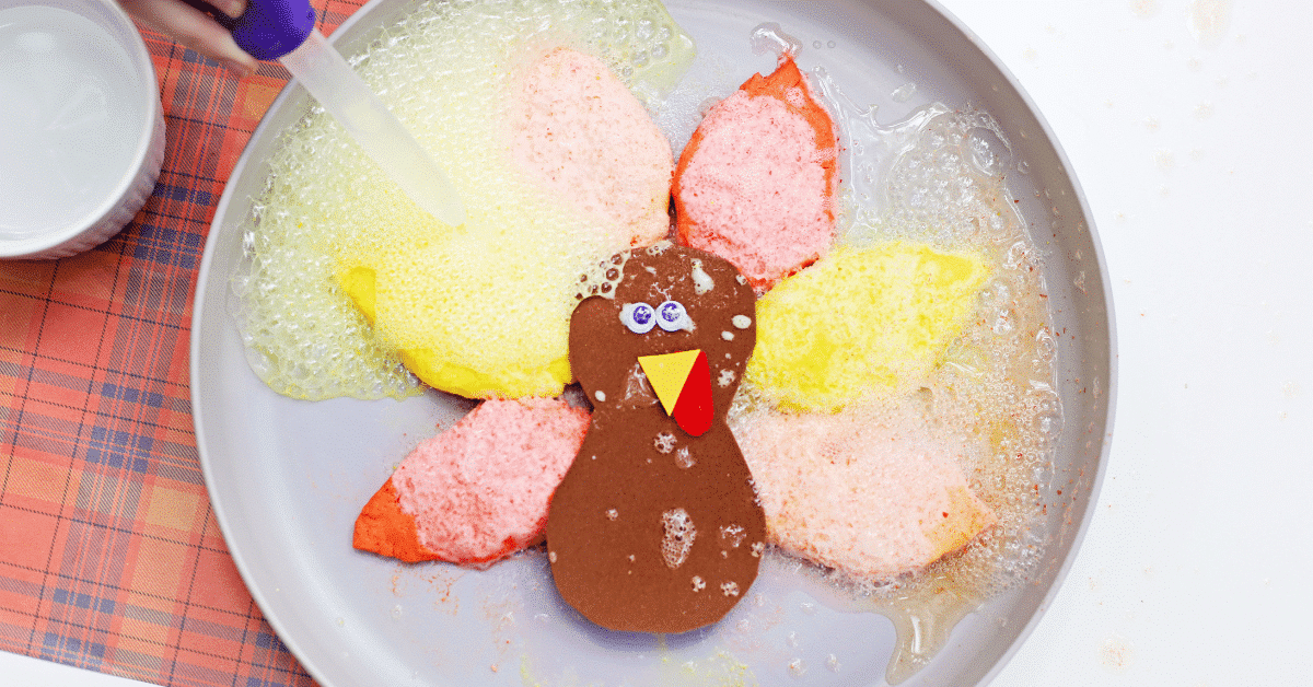 Fizzing Turkey Feather Experiment: A Colorful Thanksgiving Science ...