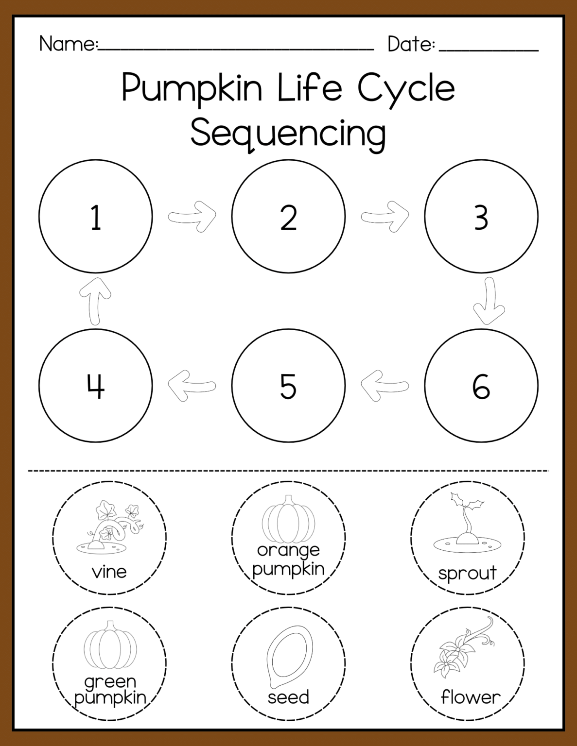 Pumpkin Life Cycle Worksheets and Playdough Mats: Hands-On Fall ...