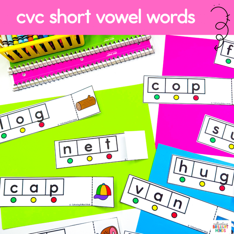 CVC Words Phonics Strips | Literacy Center | Self-Checking | Science of ...