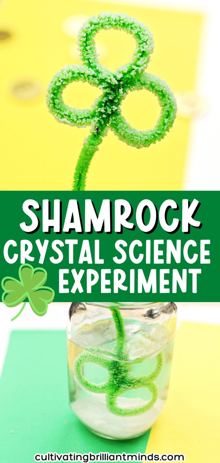 Salt Crystal Shamrock Science Experiment: A Magical St. Patrick’s Day ...