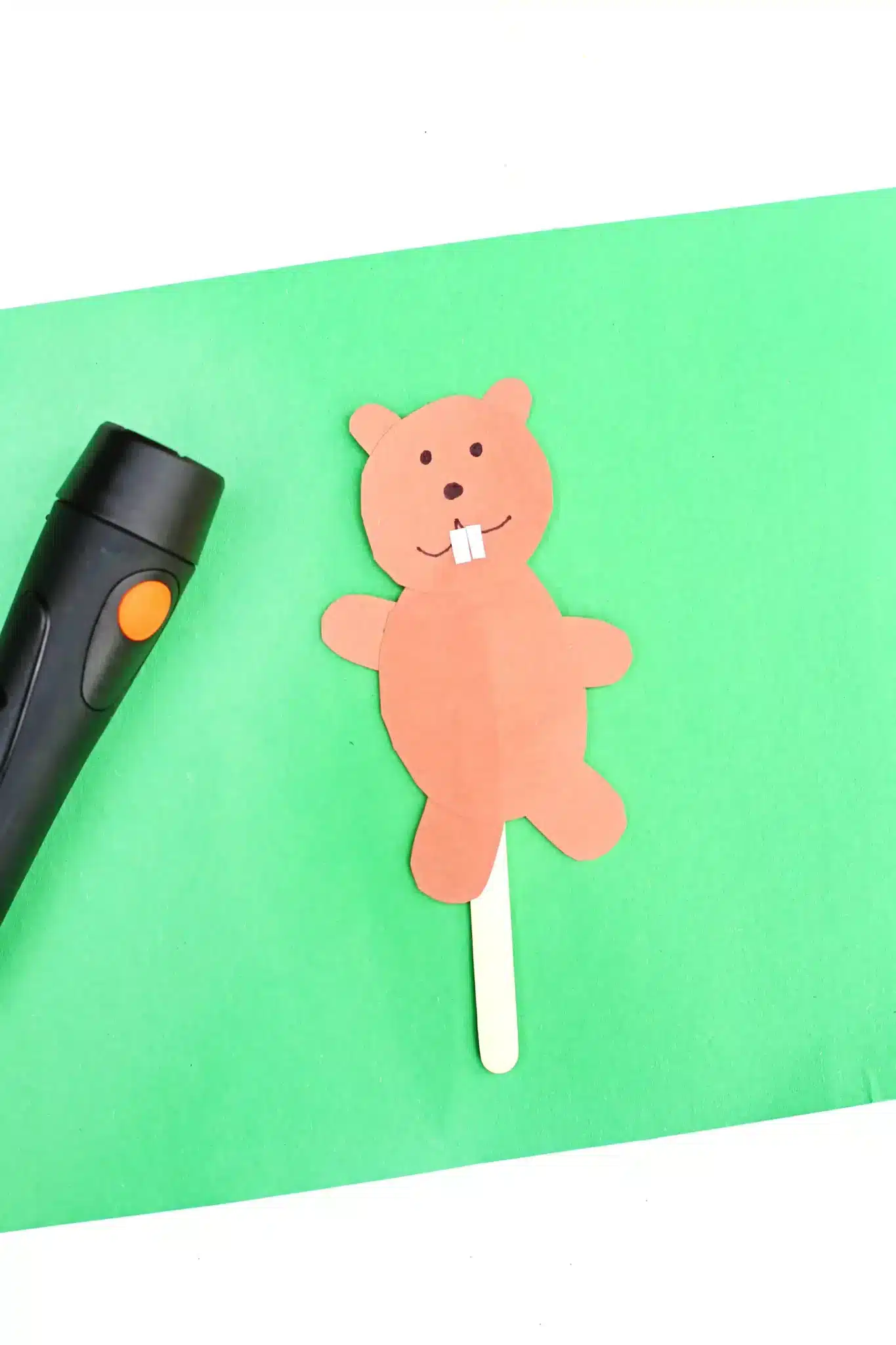 Groundhog Day Shadow Experiment: A Hands-On STEM Activity for Kids ...