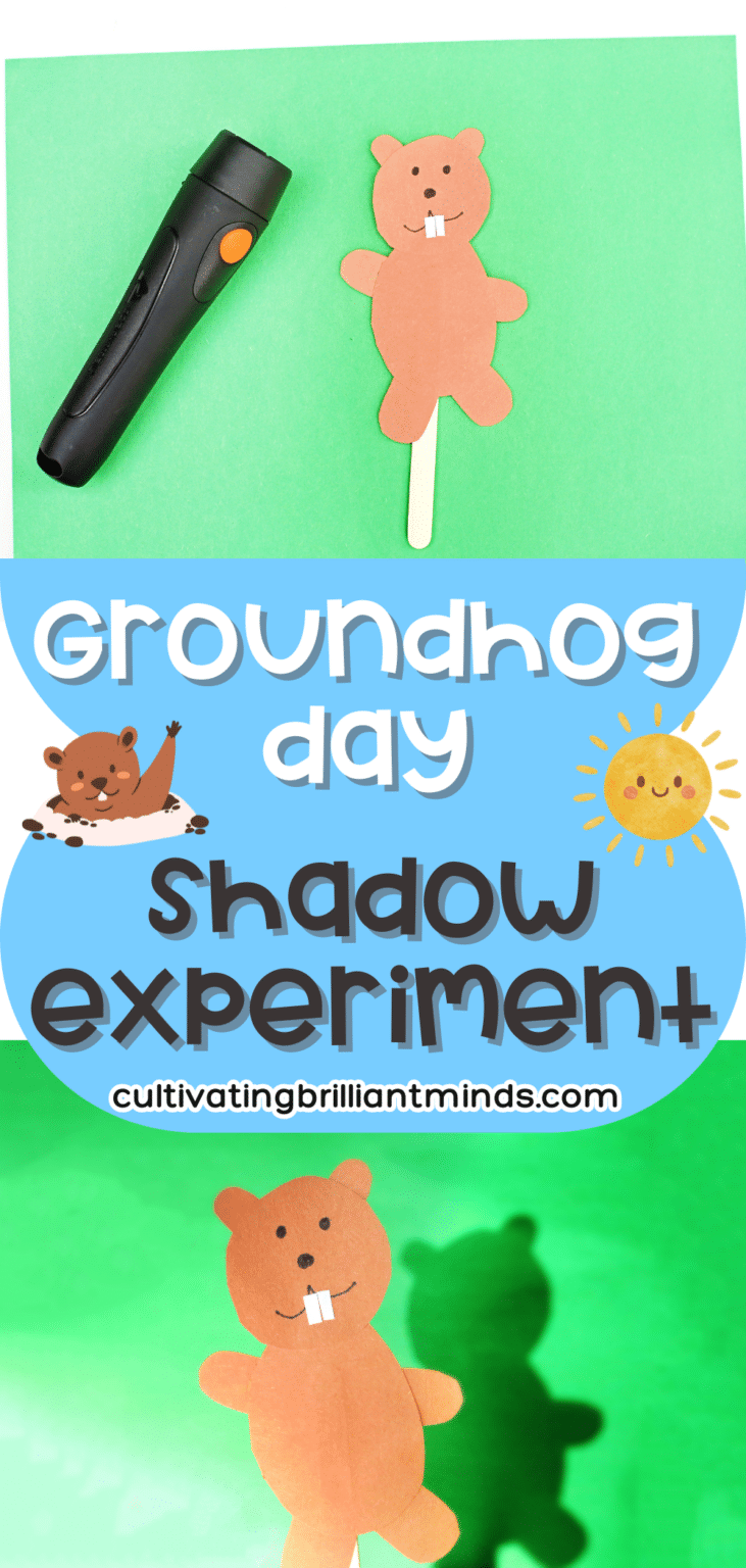 Groundhog Day Shadow Experiment: A Hands-On STEM Activity for Kids ...