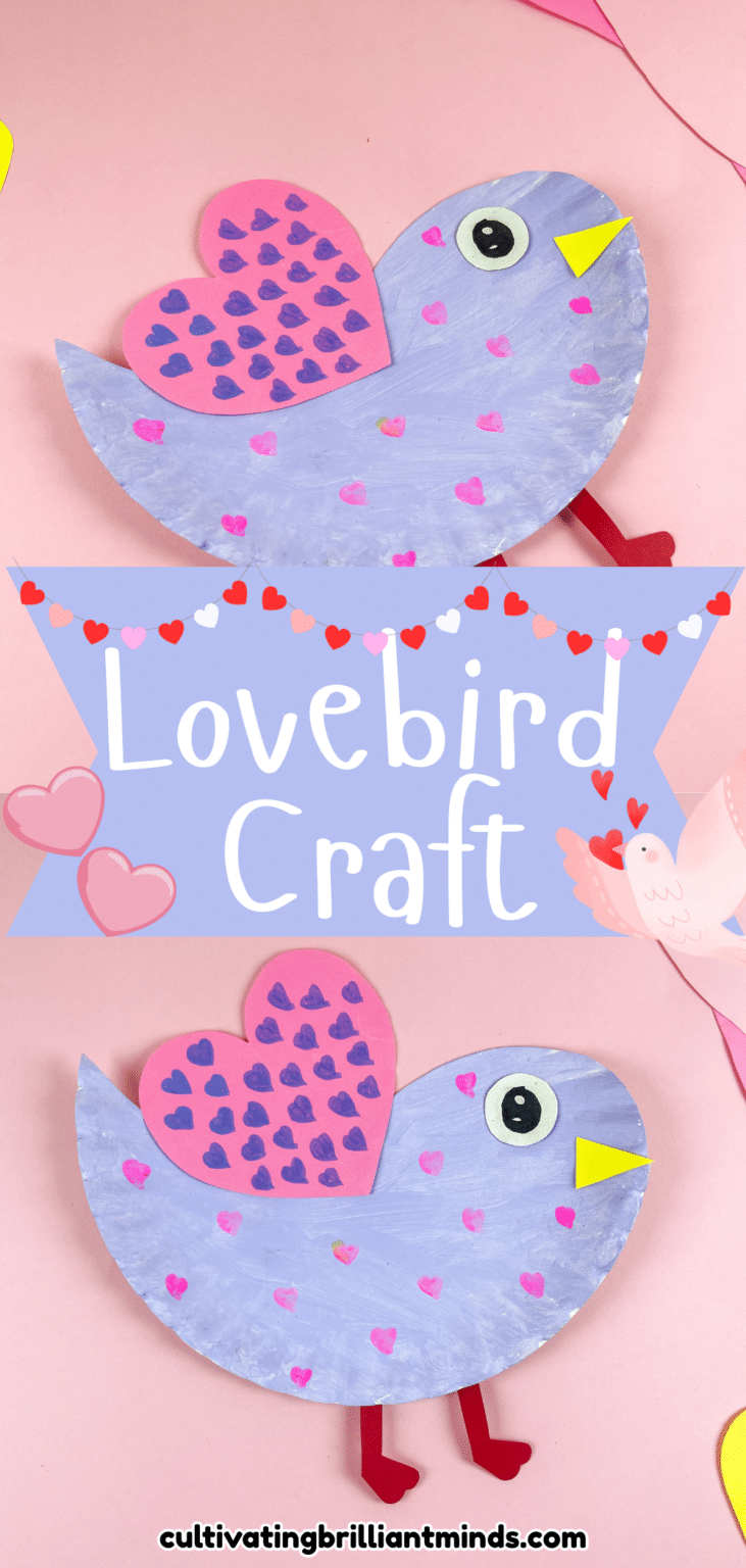 Easy Lovebird Paper Plate Craft for Kids for Valentine’s Day ...