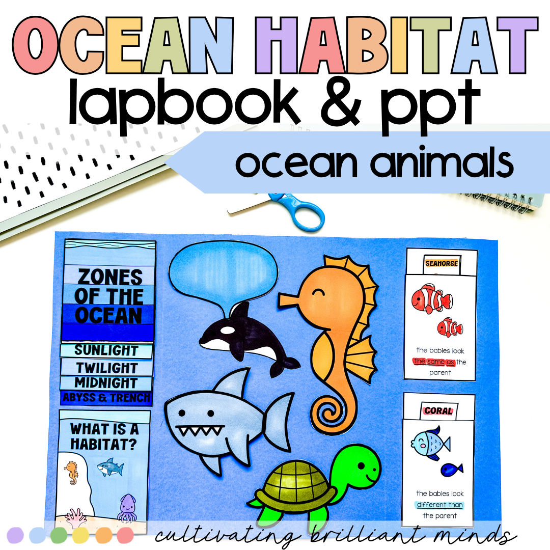 Ocean Habitat Unit | Lap Book & PPT | Life Cycles | Ocean Animals | 1st ...