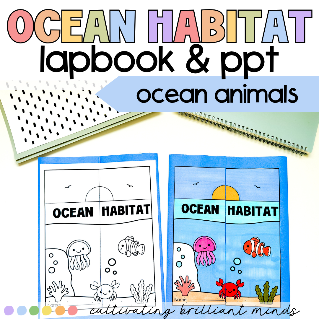 Ocean Habitat Unit | Lap Book & PPT | Life Cycles | Ocean Animals | 1st ...